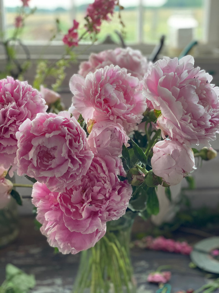 Peony Workshop – Ruby Moon Floral